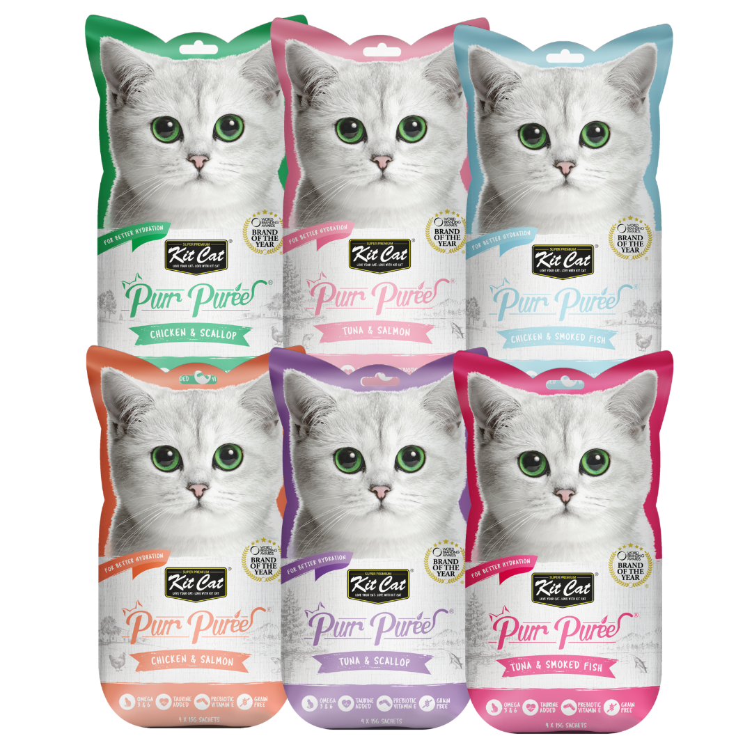 Kit Cat Purr Purée - Pack de 6 Variedades | Katunip Cat Store